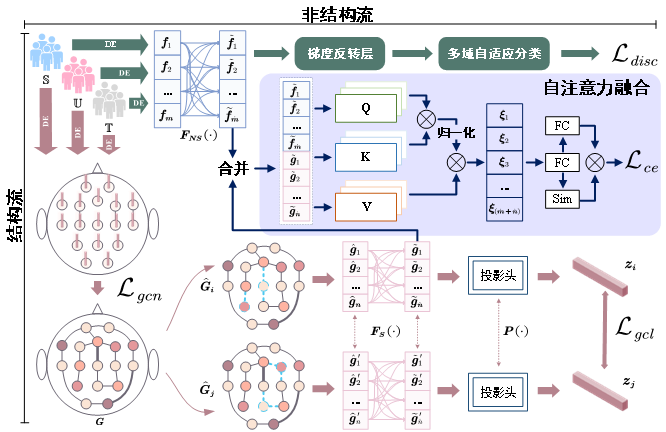 医学部梁臻副教授在《IEEE Transactions on Affective Computing》上发表针对标签稀缺问题的情感脑机接口研究 ...